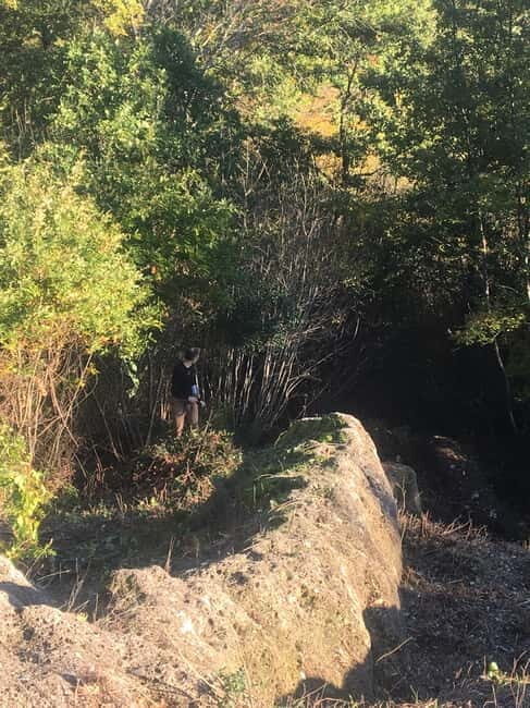 Poggio Buco: the missing necropolis - FAQ