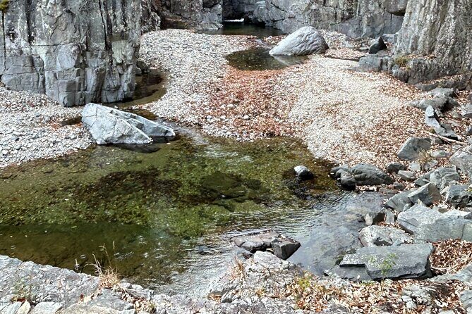 Pohang And Gyeongju Hiking And Makgeolli Brewing - Who Will Love This Tour?