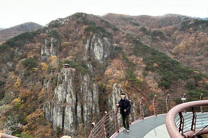 Pohang And Gyeongju Hiking And Makgeolli Brewing - Who Should Book?