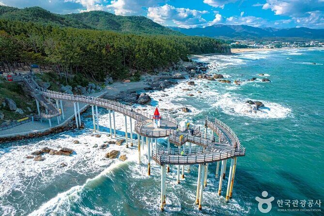 Pohang Customized Private Tour with a Licensed Tourguide - FAQ