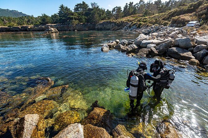 Point Lobos - A Private Charming Ocean Tour - What Makes Point Lobos Special