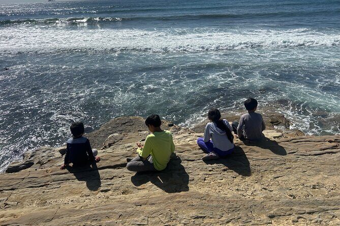 Point Loma Tide Pool Tour - Key Points