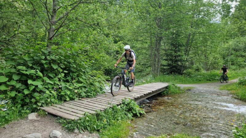 Point of view on the glaciers of Chamonix by ebike - An Authentic Glimpse of Chamonix by Ebike