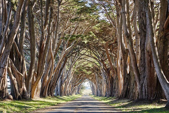 Point Reyes National Seashore Self Guided Driving Audio Tour - Real Traveler Insights and Tips