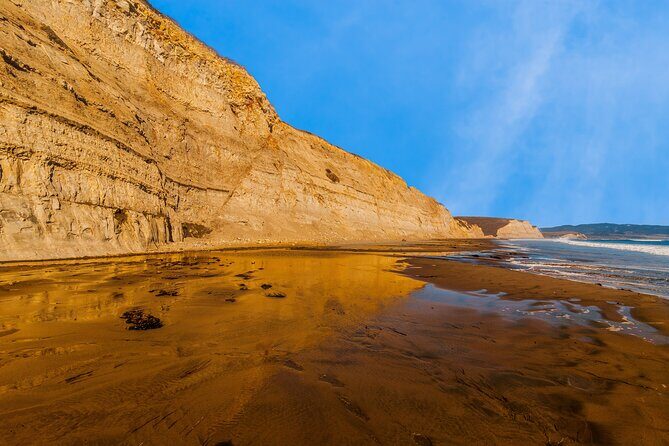 Point Reyes National Seashore Self Guided Driving Audio Tour - Final Thoughts