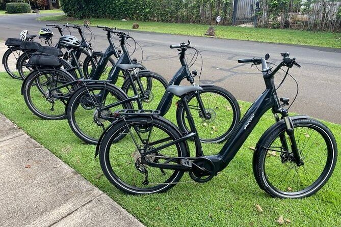 Poipu and Koloa E-Bike Scenic Tour - From the Guides’ Perspective