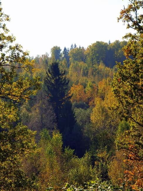 Pokaini stone agglomerates, Dobele castle, children park - The Natural Wonder of Pokaini Forest