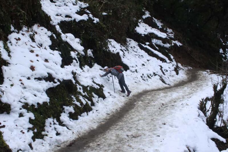 Pokhara: 1 Day Poon Hill Sunrise Hike with Transfer - An In-Depth Look at the Poon Hill Sunrise Hike