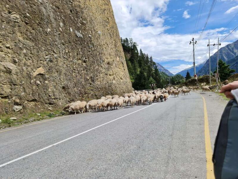 Pokhara: 14 Days Upper Mustang Trek - Is This Trek Worth Its Price?