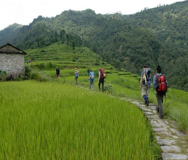 Pokhara: 2-Day Ghachok Village Tour with Homestay & Hike - Key Points