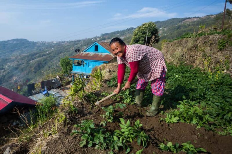 Pokhara: 2-Day Ghachok Village Tour with Homestay & Hike - The Morning Sunrise Hike: Views That Make You Catch Your Breath