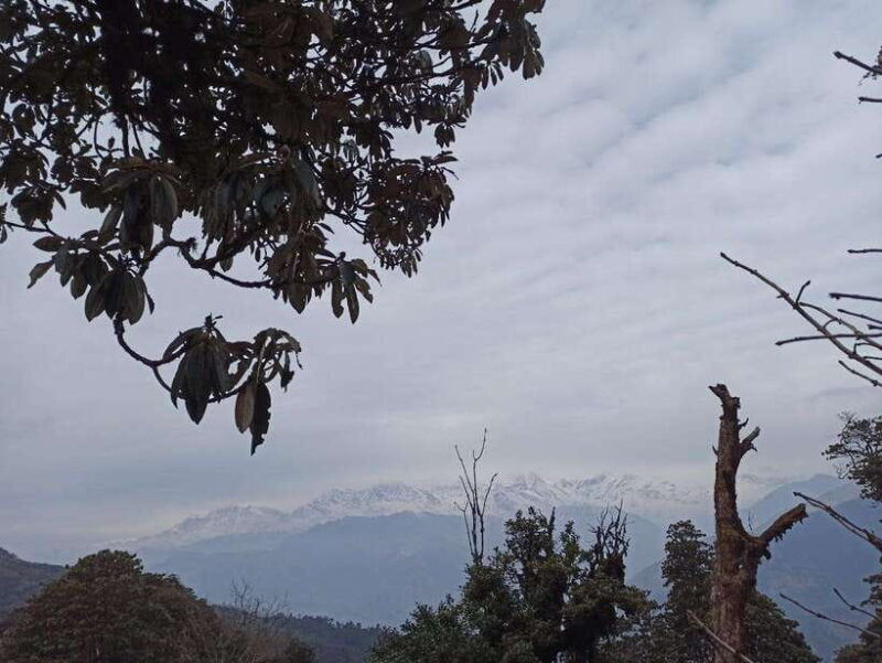 Pokhara: 2-Day Poon Hill Trek with Sunrise - Authentic Experiences & Traveler Insights