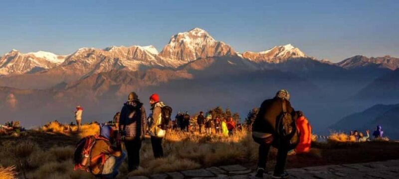 Pokhara: 2 days guided Poon Hill Trek - The Sum Up