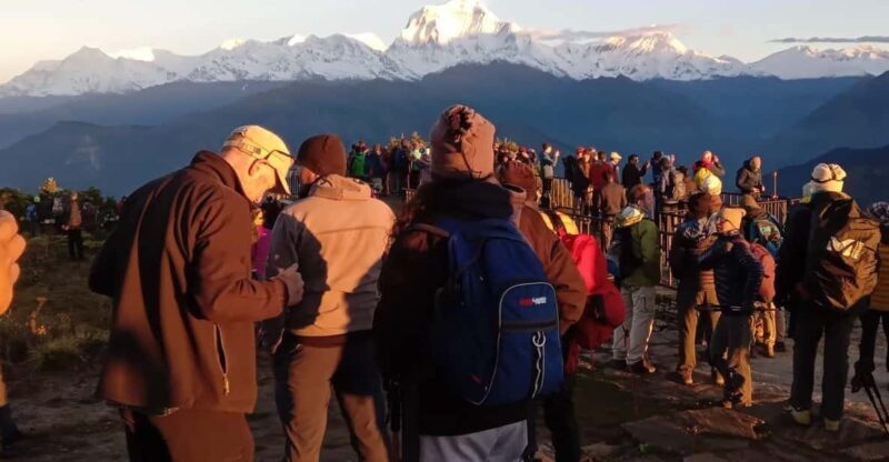 Pokhara: 3-Day Easy pulse Poon Hill Trek. - The Ideal Traveler for This Trek