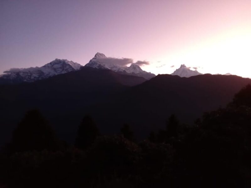 Pokhara: 3-Day Easy pulse Poon Hill Trek. - The Sum Up