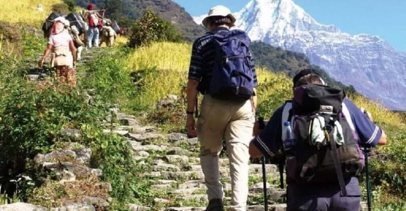 Pokhara: 3-Day Ghorephani and Poon Hill Private Trek - Transportation and Logistics