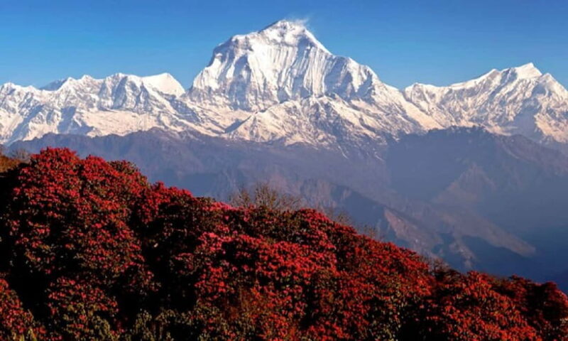 Pokhara: 3-Day Ghorephani and Poon Hill Private Trek - What’s Included and What’s Not