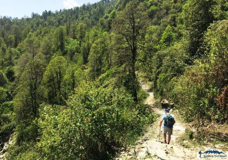 Pokhara: 3-Day Hike Tour To Annapurna Himalayas Foothill - The itinerary explained