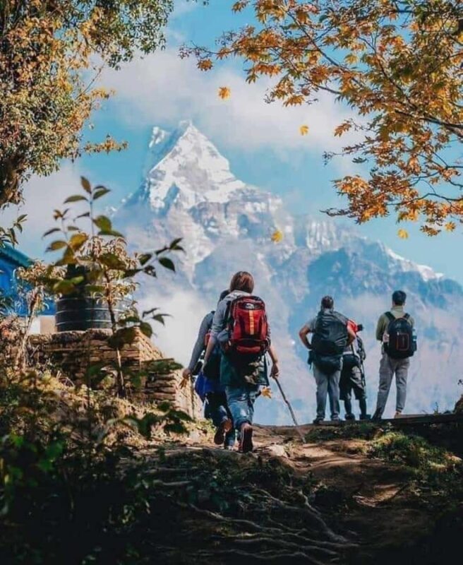 Pokhara: 3-Day Mardi Himal Base Camp Private Trek - Key Points