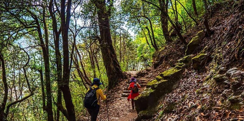 Pokhara: 3-Day Poon Hill Sunrise Trek with Lady Guide - Practical Details and Tips