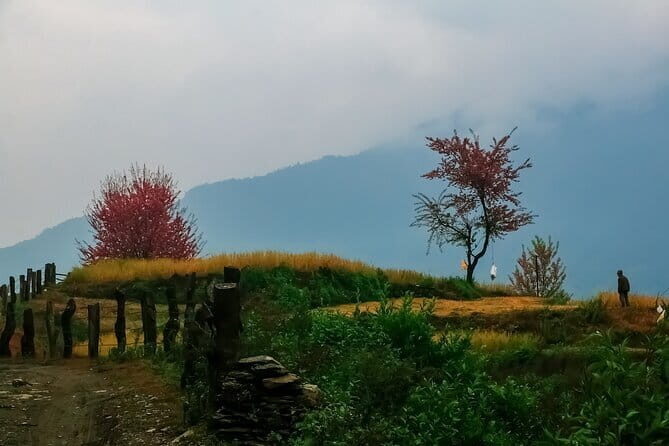 Pokhara 3 Days Ghorepani and Poon Hill Private Trek via Ghandruk - Who Is This Trek Best For?