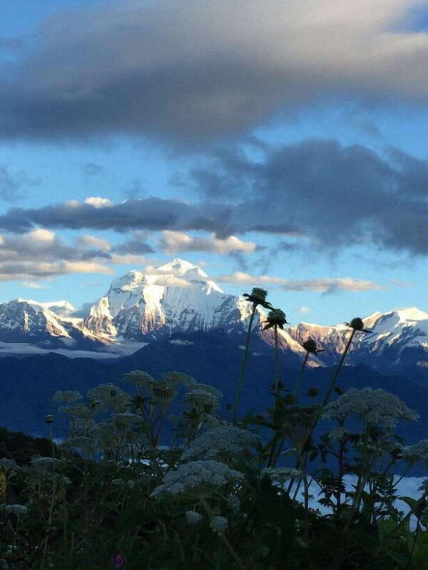 Pokhara: 3 days Trek to Poon hill - A Deep Dive Into the 3-Day Poon Hill Trek