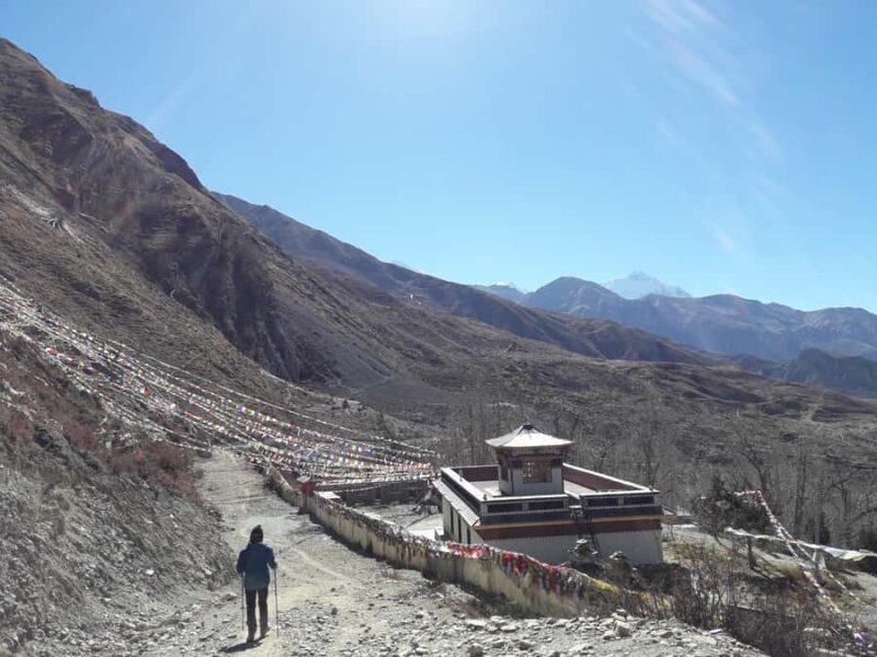 Pokhara: 4-Day Jomsom and Muktinath Trek with Guide - Transport and Logistics