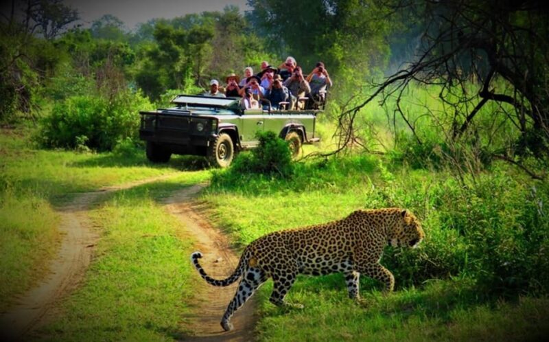 Pokhara : 4 Day Lumbini and Chitwan Safari Tour By Car - Analyzing the Value
