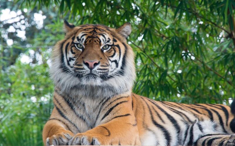 Pokhara : 4 Day Lumbini and Chitwan Safari Tour By Car - Who Will Love This Tour?