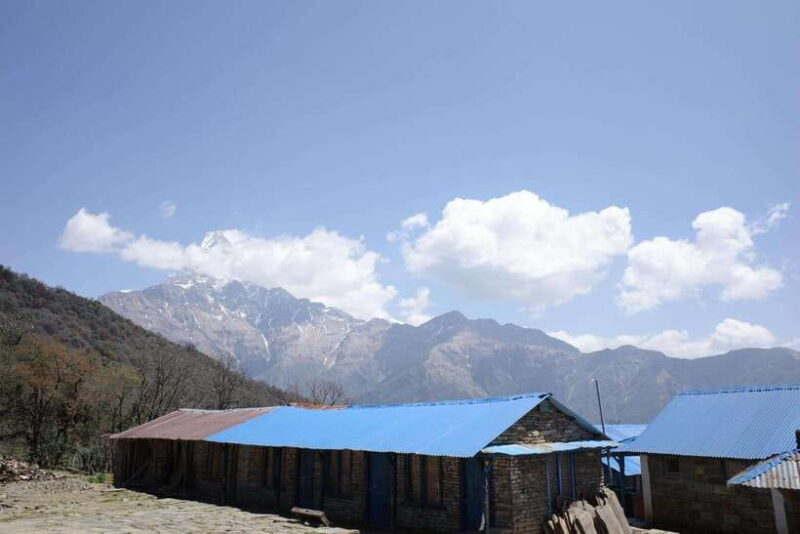 Pokhara: 4-Day Mardi Himal Base Camp Trek with Transfers - Value for Money