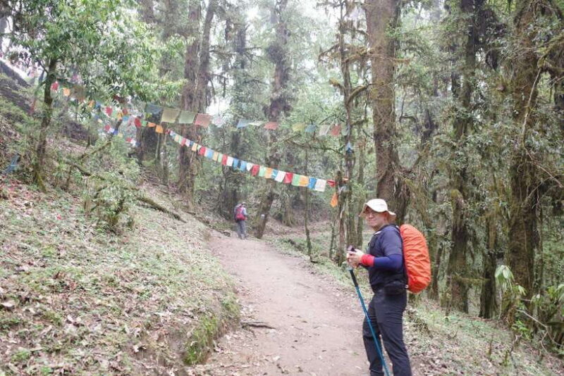 Pokhara: 4-Day Mardi Himal Base Camp Trek with Transfers - Who Will Love This Trek?