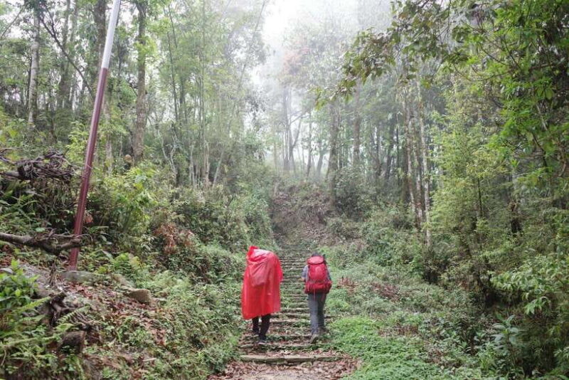 Pokhara: 4-Day Mardi Himal Base Camp Trek with Transfers - The Sum Up