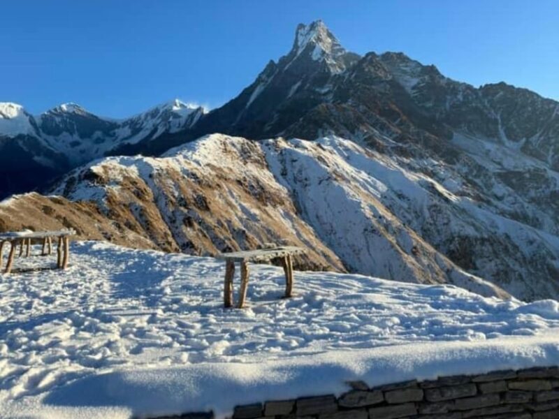 Pokhara: 4-Day Mesmerizing Mardi Himal Guided Trek - A Detailed Look at the Mardi Himal Trek