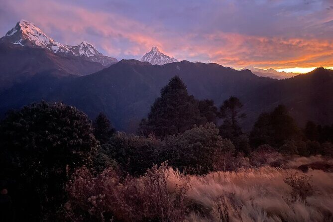 Pokhara: 4 Days Poon Hill and Ghandruk Trek - An Introduction to the Experience