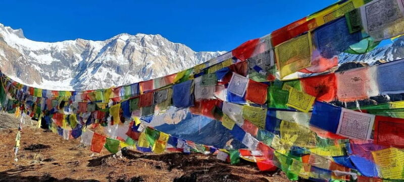 Pokhara: 5-Day Annapurna Base Camp Trek with Hot Spring - The Sum Up: Is This Trek Right for You?