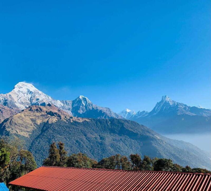 Pokhara: 5-Day Annapurna Poon Hill Trek and Chitwan Tour - What to Expect on This 5-Day Adventure