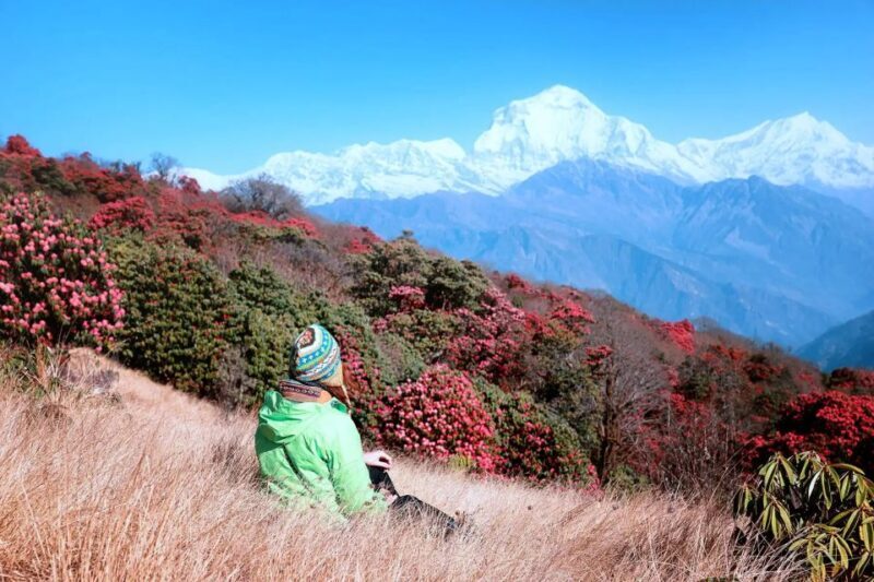 Pokhara: 5-Day Ghorepani and Poon Hill Private Trek - Final Thoughts