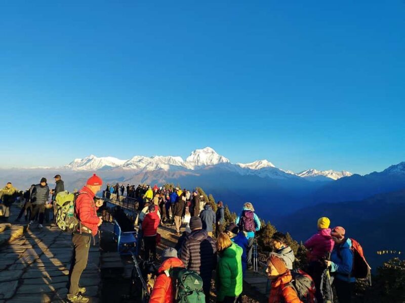 Pokhara: 5-Day Ghorepani Poon Hill Trek - The Route Breakdown: What Makes Each Day Special