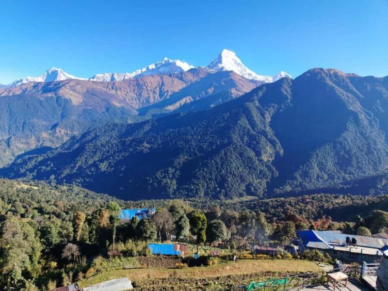 Pokhara: 5-Day Ghorepani Poon Hill Trek - The Experience Provider: Sanjay Trekking and Adventures