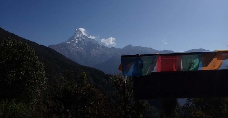 Pokhara: 5-Day Mardi Himal Base Camp Trek with Transfers - Key Points