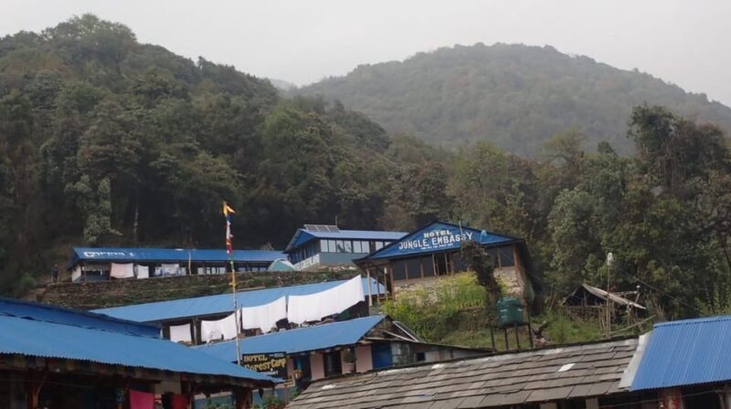 Pokhara: 5-Day Mardi Himal Base Camp Trek with Transfers - The Sum Up