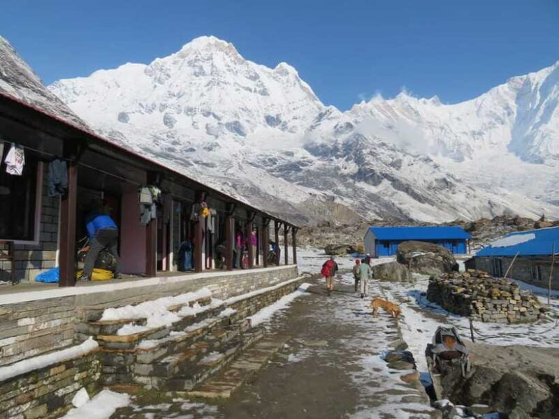 Pokhara: 5-Days Annapurna Base Camp Trek Guided Adventure - Final Thoughts