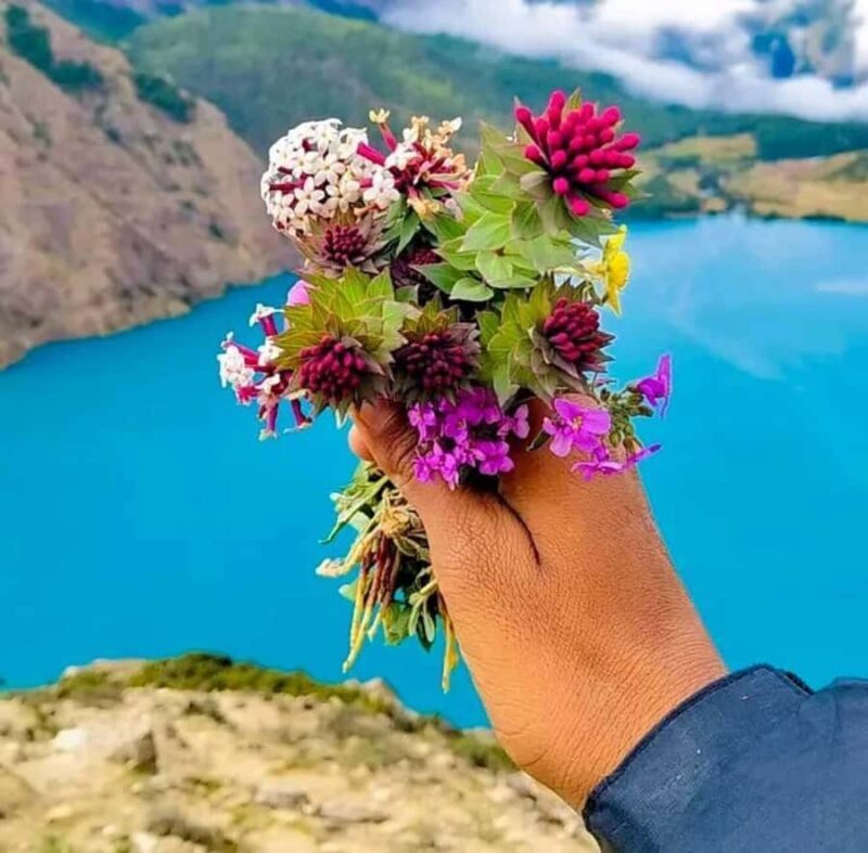 Pokhara: 5-days North Annapurna Base Camp & Sky Cave Trek - FAQ