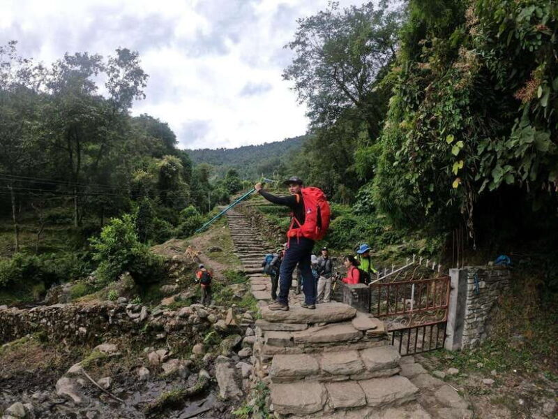 Pokhara: 7-Day Annapurna Base Camp and Poon Hill Sunrise - Transportation, Accommodation, and Guide Support