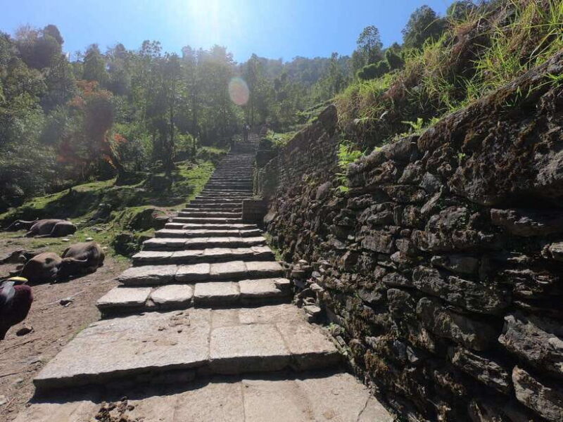 Pokhara: 7-Day Annapurna Base Camp & Jhinu Hot Springs Trek - What’s Not Included & What to Bring