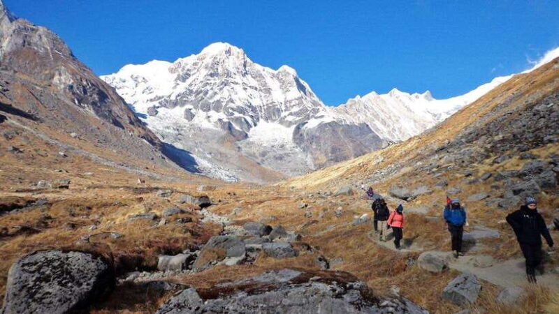 Pokhara : 7 - Day Annapurna Base Camp Trek with Hot Spring - Key Points