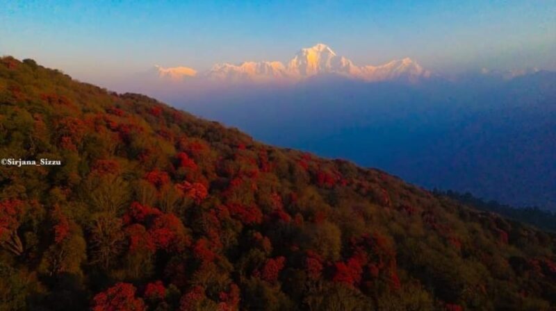 Pokhara: 7-Day Annapurna Base Camp Via PoonHill & Hot Spring - Final Thoughts