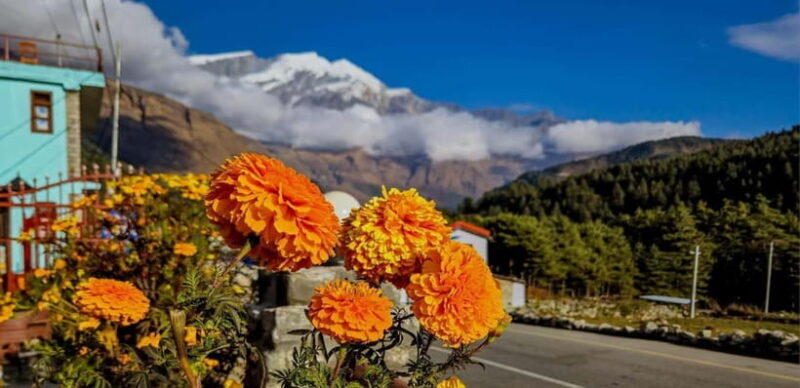 Pokhara: Amazing Day Hiking, Boating /Sunrise view tour - Who Is This Tour Best For?