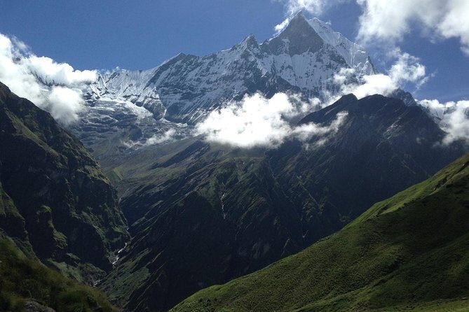 Pokhara: Annapurna Base Camp Trek Multi-Day Guided Tour - Day 2: Into Rhododendron Forests—Ghorepani