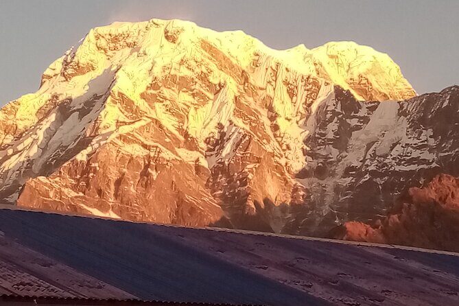 Pokhara: Annapurna Base Camp Trek Multi-Day Guided Tour - Day 5: Down to Bamboo and Beyond